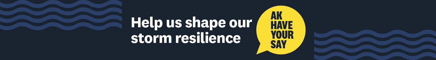 Storm Recovery and Resilience | AK Have Your Say